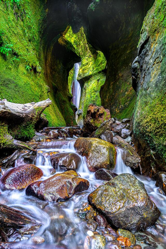 British Columbia Photos | Fine Art Nature Photography